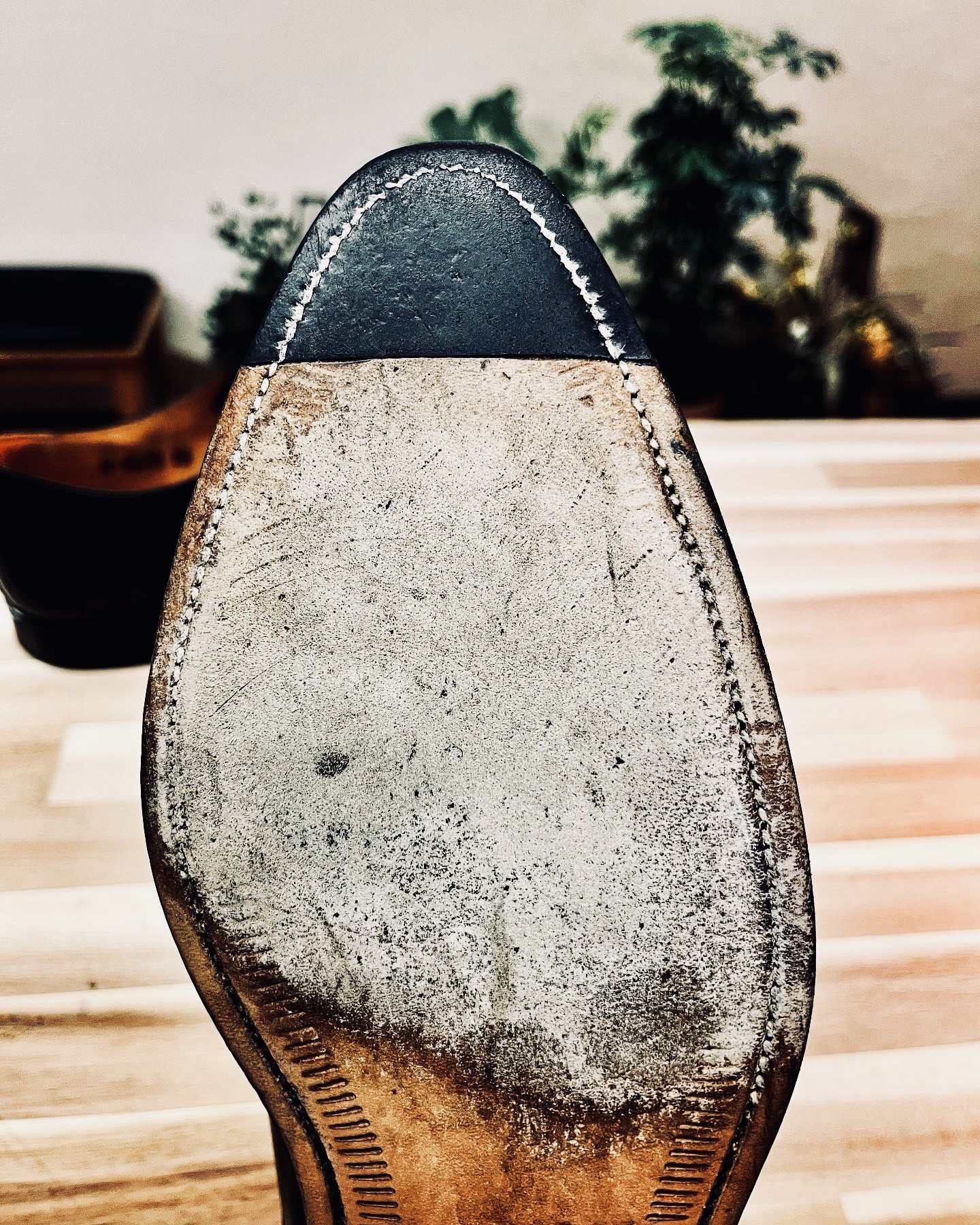 case - Colto repair shoe company